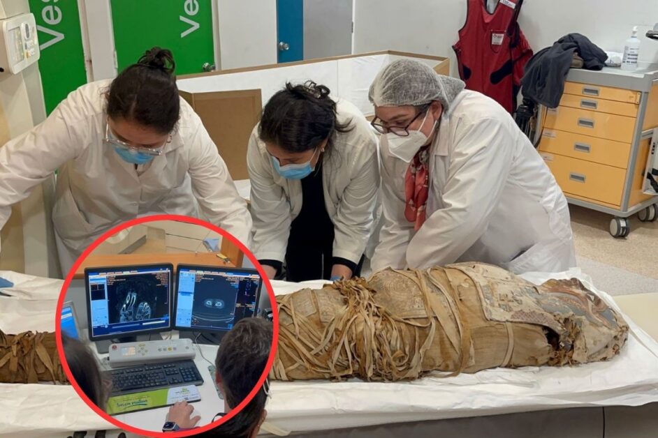 Realizan inéditos exámenes a momia egipcia del Museo Pedro del Río Zañartu