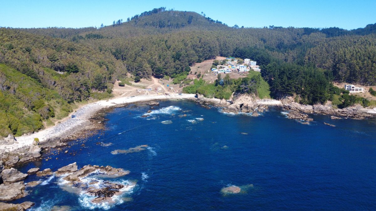 Caleta Perone en riesgo por la burocracia: trámites han retrasado ...