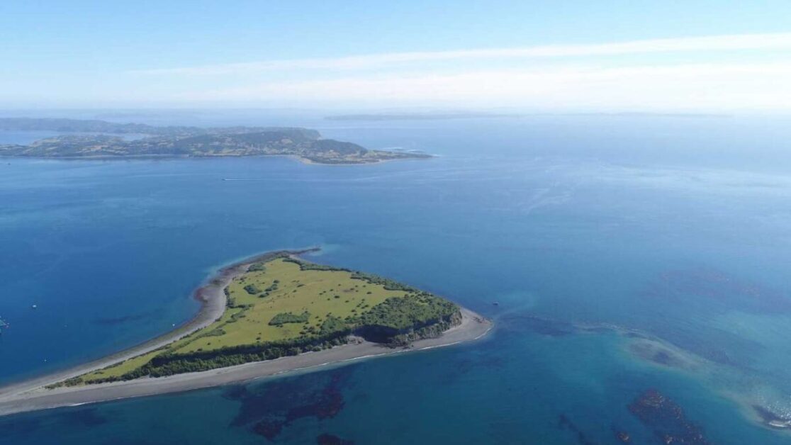 Chiloé y la venta de una isla: las huellas eternas de una familia que ...